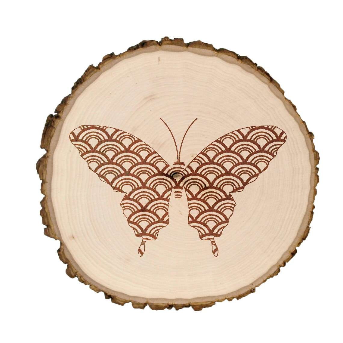 Rainbow Butterfly Laser Etched Butterfly Pattern on Live | Etsy