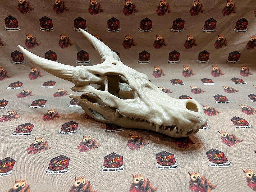 Kobold Skull Trophy Prop - Etsy