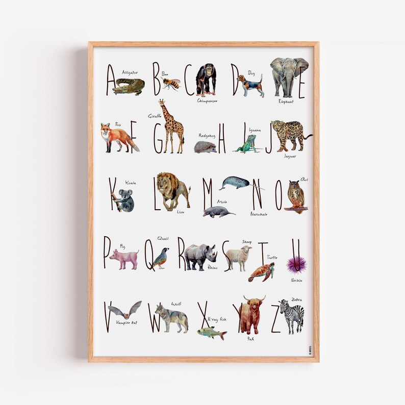 Animal Alphabet Poster for Kids – A to Z Wall Art With Cute Animals ...