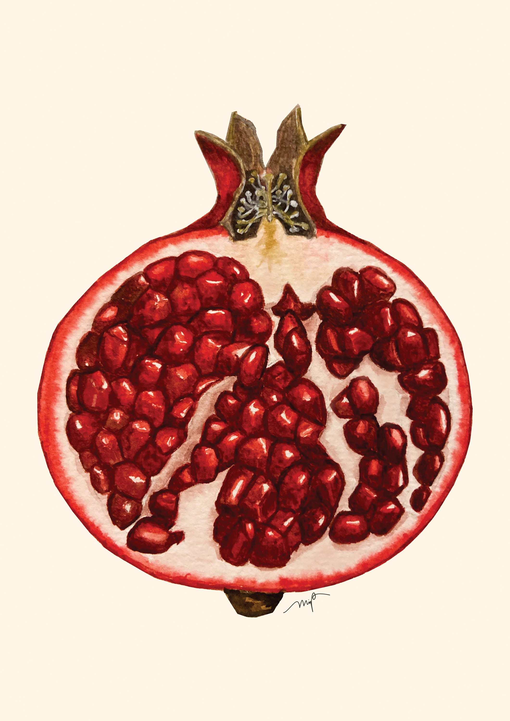 Pomegranate Art