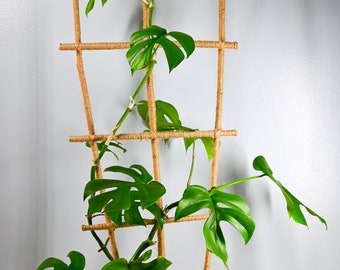 Jute Twine Wrapped Bamboo Indoor Plant Ladder Style Trellis - Etsy