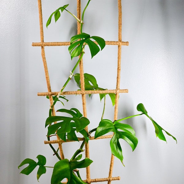 Trellis - Etsy