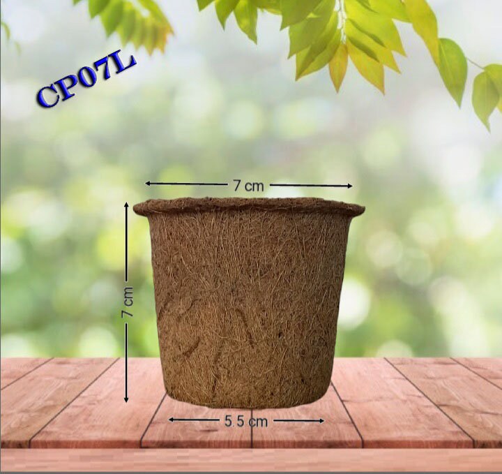 Coir Pots | Natural Durable Coir Pots | Coconut Basket Seedling Cups ...
