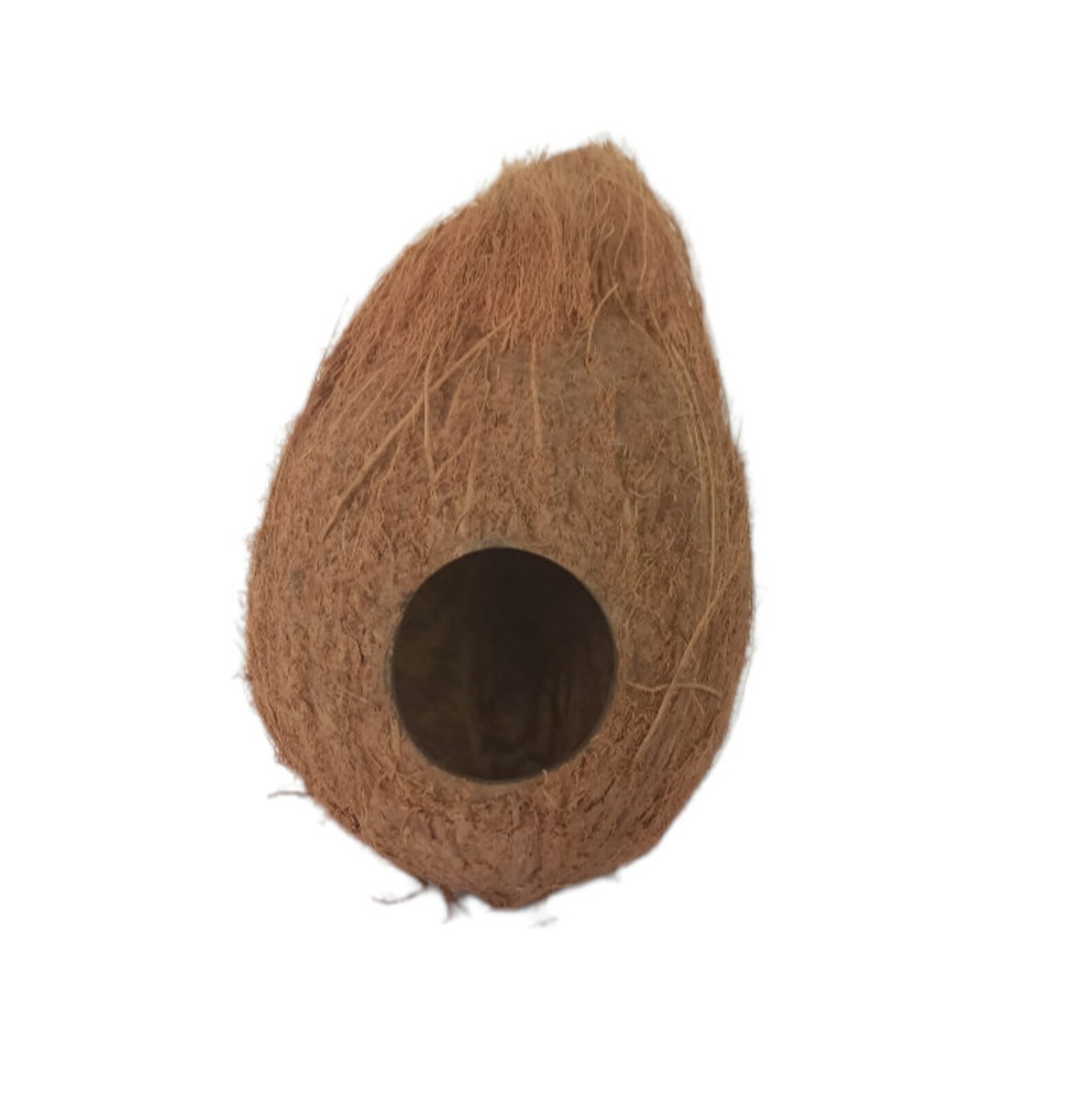 Coconut Hut Customize Your Coconut Shell Hut Coconut Bird House - Etsy