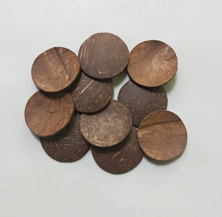 10 Pieces of 1.5" & 2" Coconut Shell Discs to Make Your Coconut Shell ...