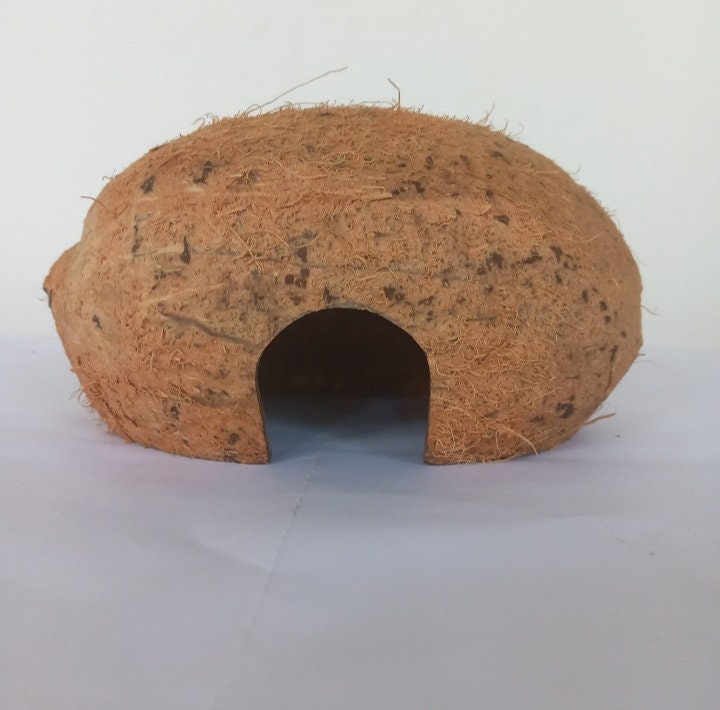 Coconut Hut Customize Your Coconut Shell Hut Coconut Bird House - Etsy