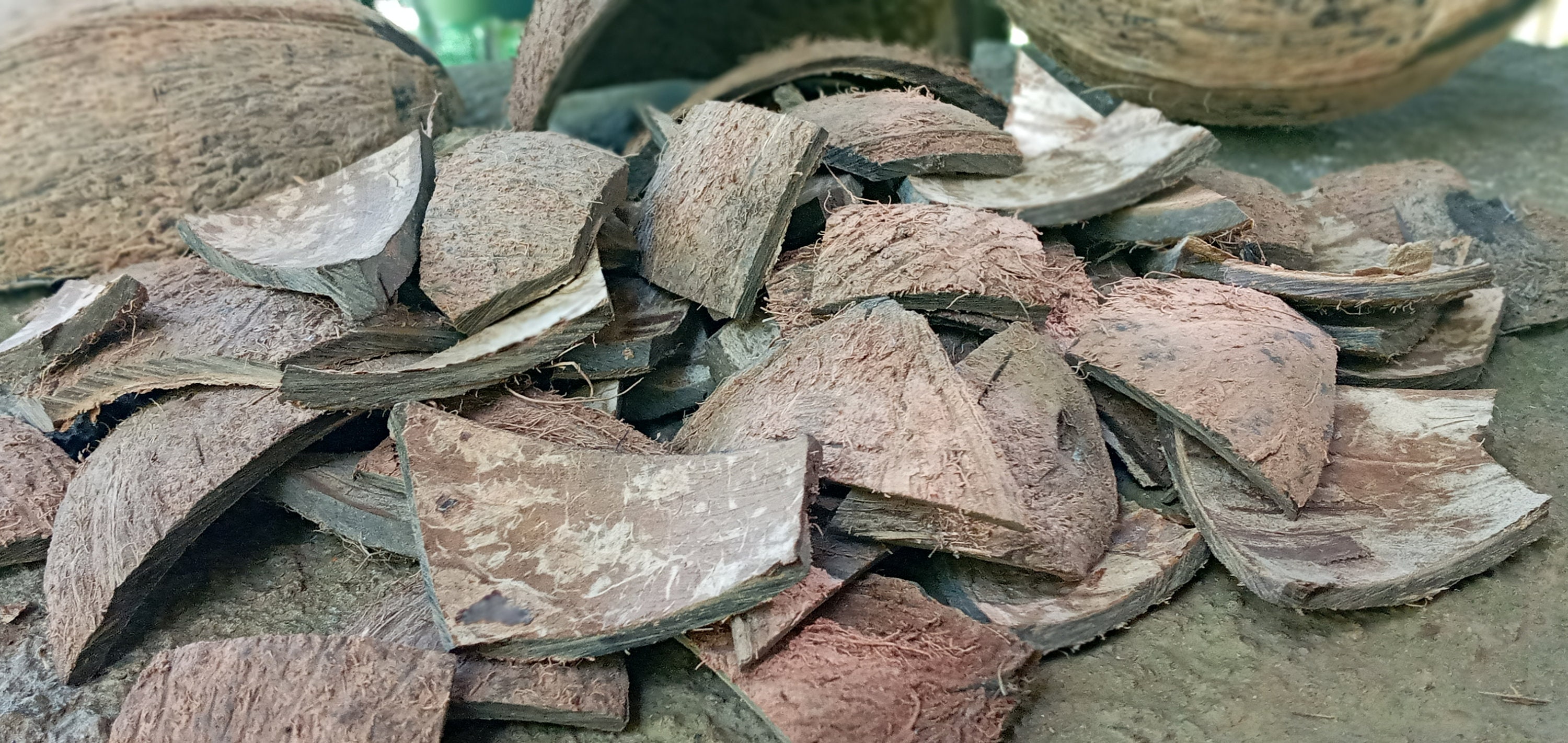 COCONUT Shell CHIPS / Organic Coconut Chips / Natural Coconut Shell ...
