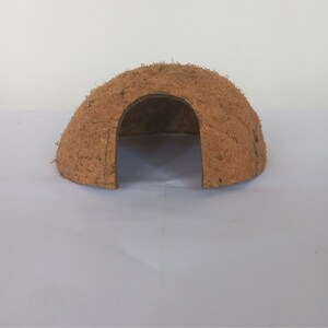 Coconut Hut | Customize Your Coconut Shell Hut | Coconut Bird House ...