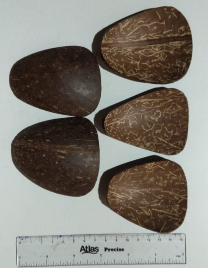 Water Drop Shape Coconut Shell Chips to Make Your Craft Items | Flower ...