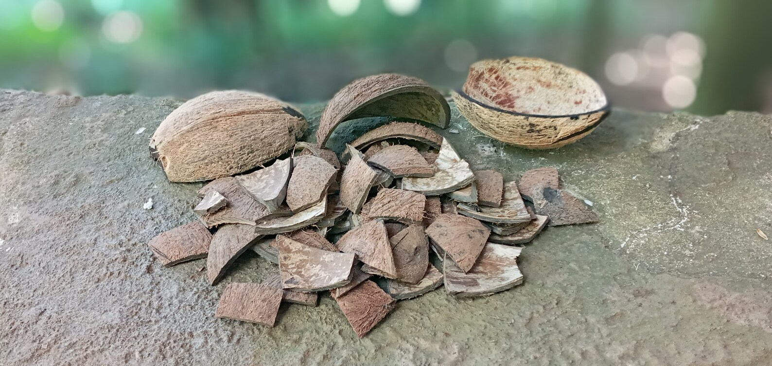 COCONUT Shell CHIPS / Organic Coconut Chips / Natural Coconut Shell ...