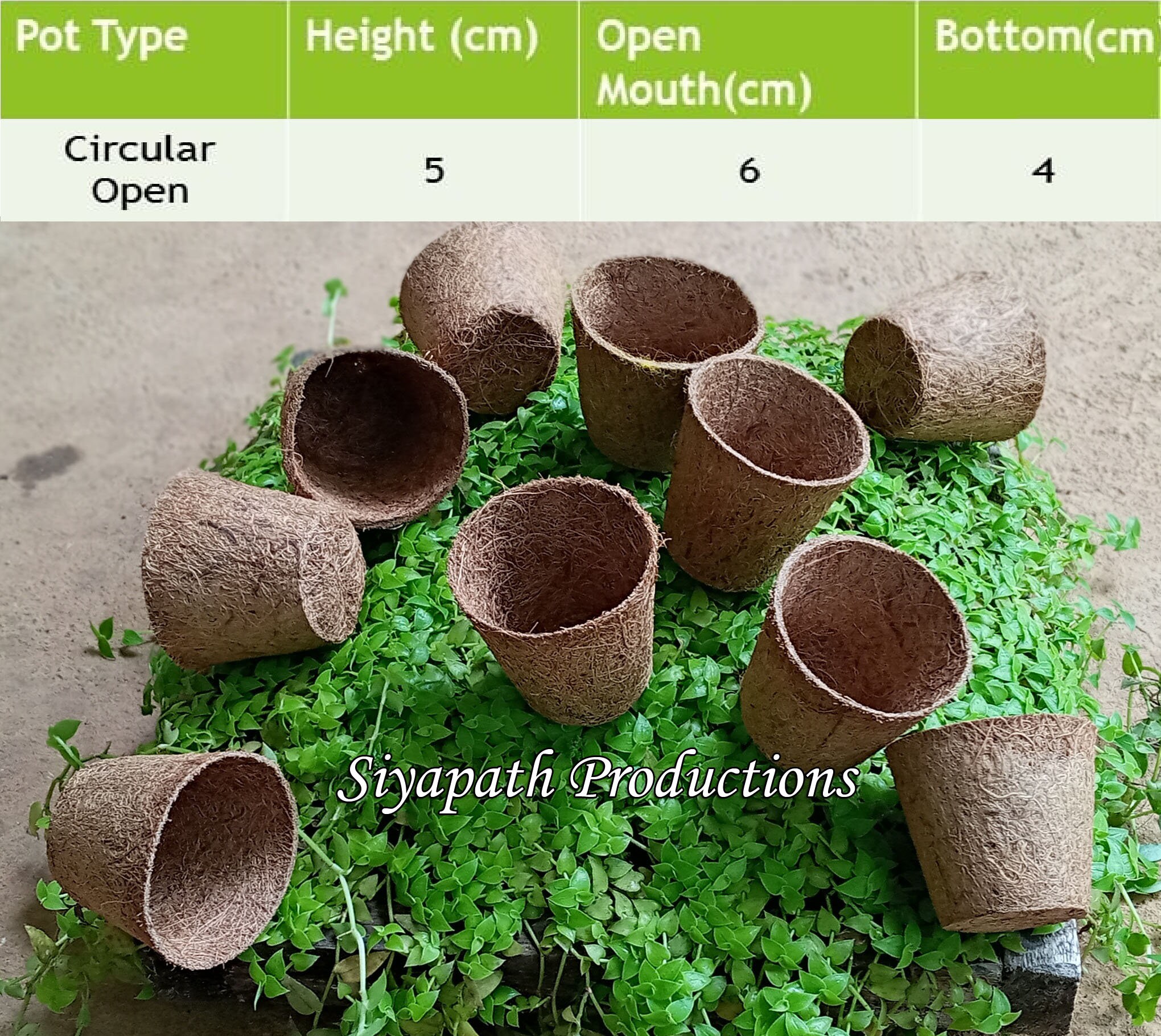 Eco Friendly Coir Pots for Coir Lovers/ Natural Durable Coir Pots ...