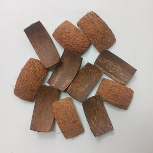 Rectangle Shape Coconut Shell Chips to Make Your Craft Items | Coconut ...