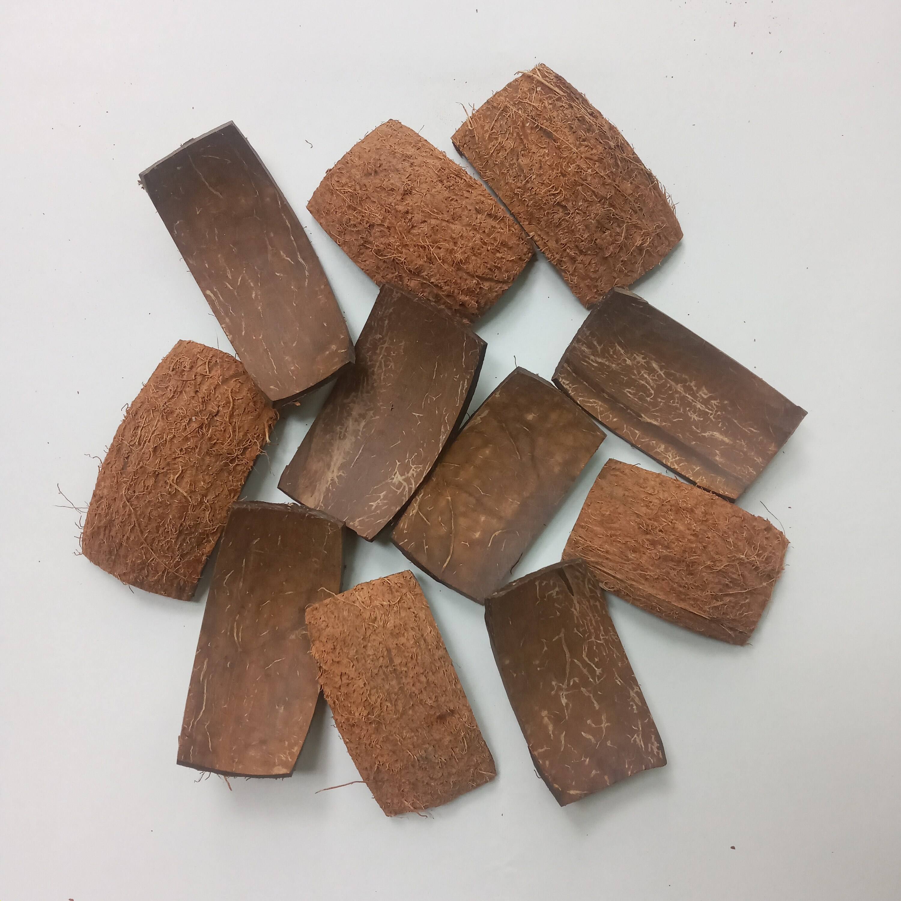 Rectangle Shape Coconut Shell Chips to Make Your Craft Items | Coconut ...