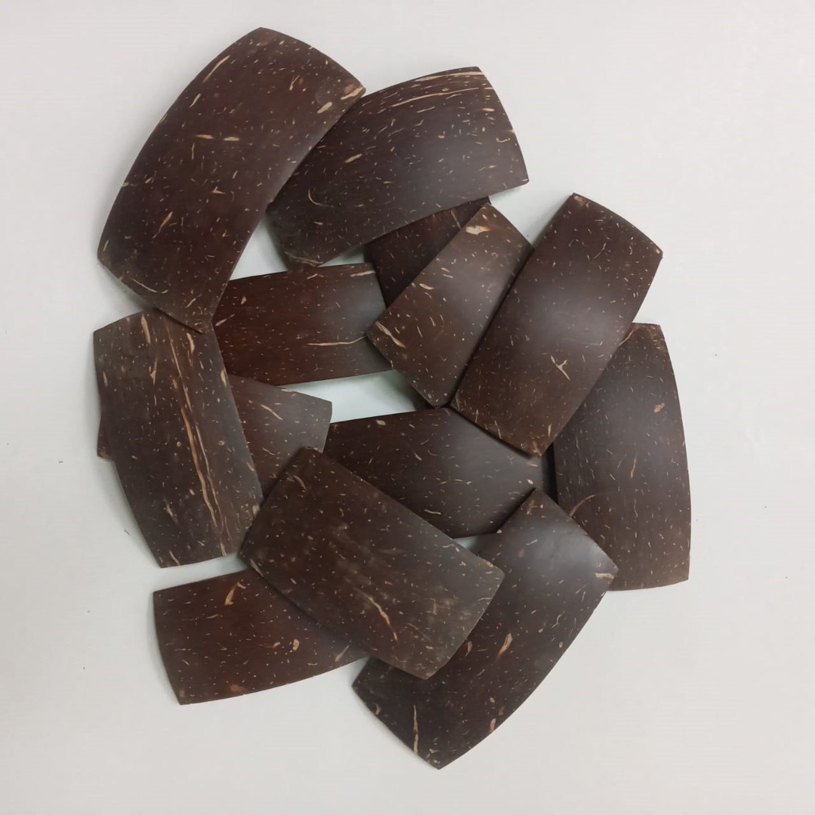 Rectangle Shape Coconut Shell Chips to Make Your Craft Items | Coconut ...