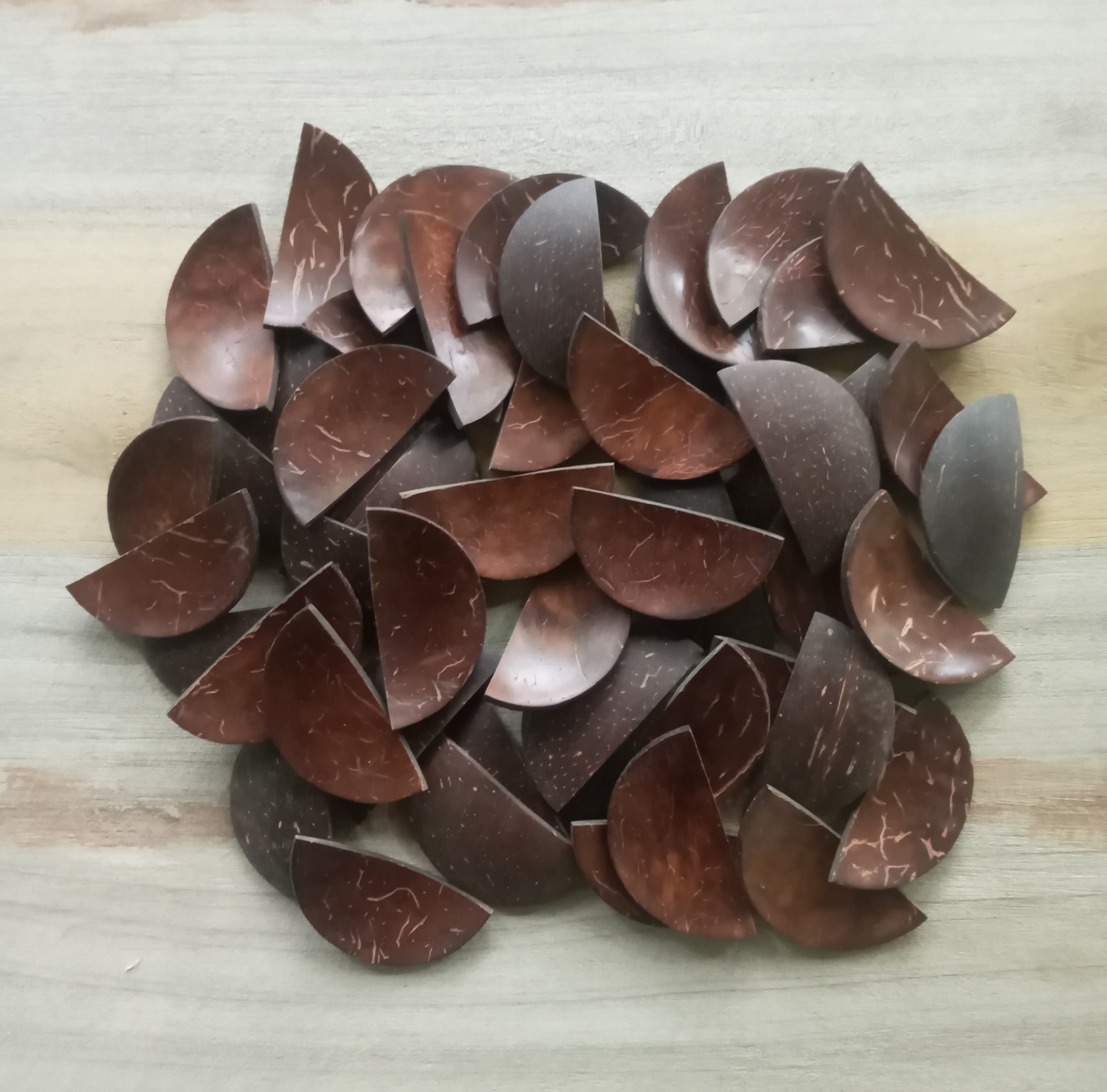 20 Pieces of Half Circle Shape Coconut Shell DIY Decoration - Etsy