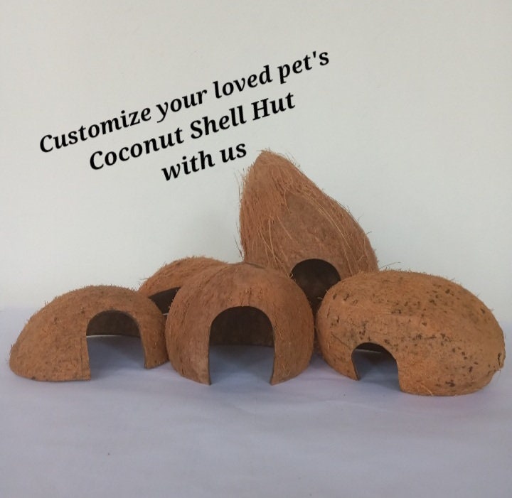 Coconut Hut Customize Your Coconut Shell Hut Coconut Bird House - Etsy