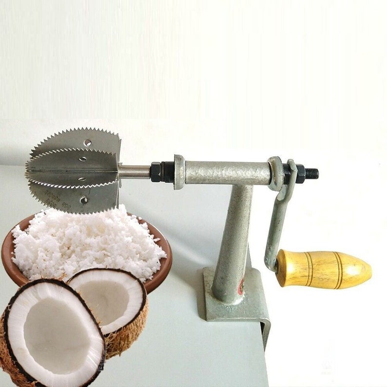 Stainless Steel Coconut Scraper Housewarming Gift Coconut Grater ...