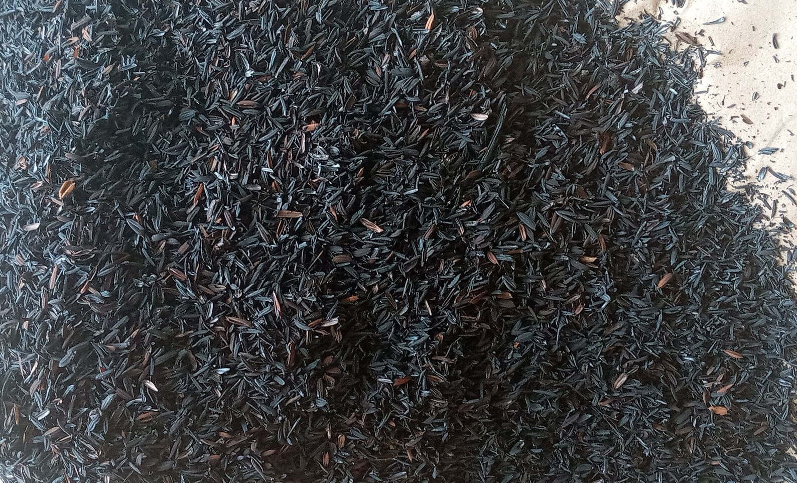 Agriculture Department Approved Organic Burnt Rice Hulls | 100% Natural ...