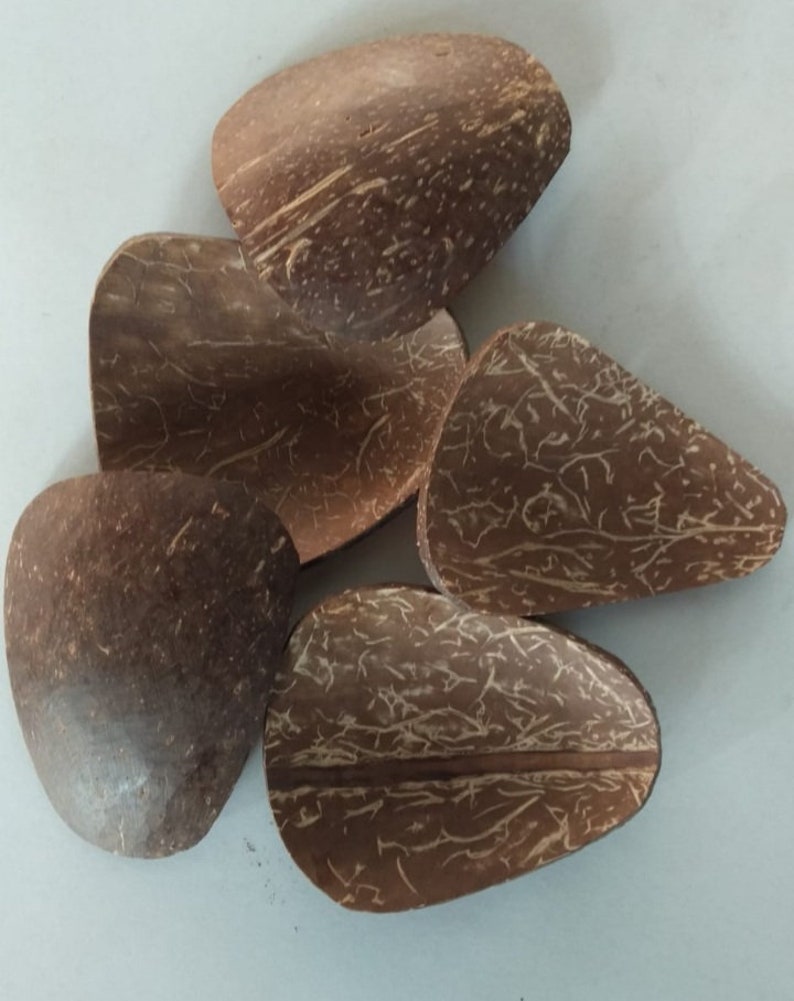 Water Drop Shape Coconut Shell Chips to Make Your Craft Items | Flower ...