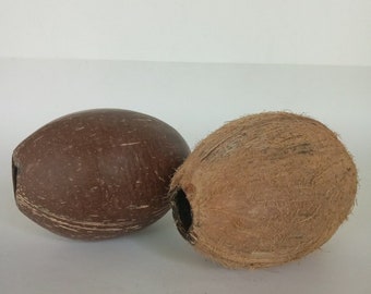 Whole Coconut Shell Emptied Out - Etsy