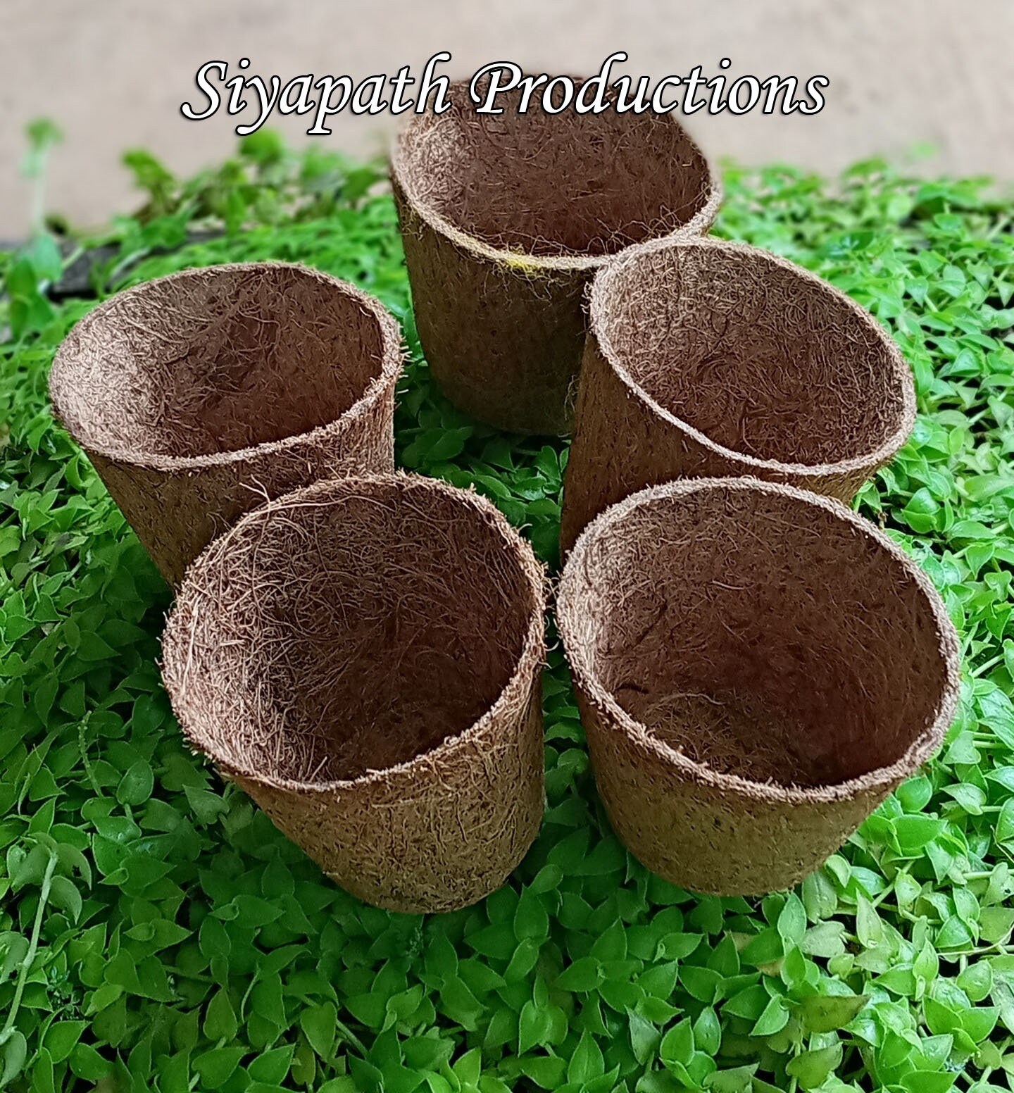 Eco Friendly Coir Pots for Coir Lovers/ Natural Durable Coir Pots ...