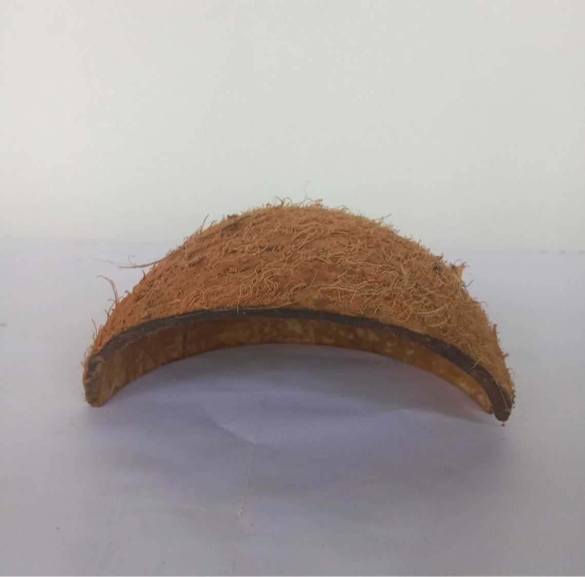 Coconut Hut Customize Your Coconut Shell Hut Coconut Bird House - Etsy