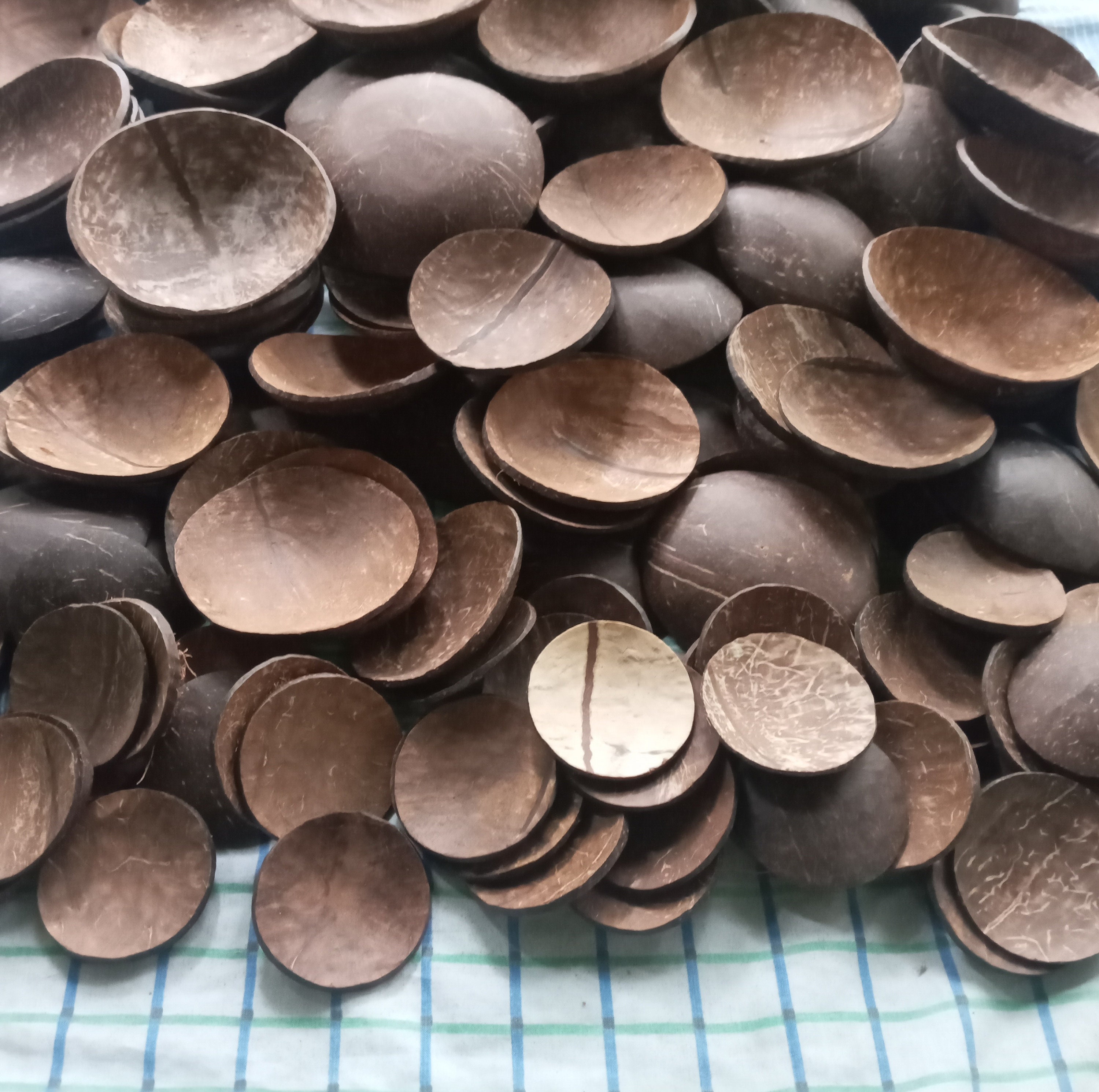 25 Pieces of Various Sizes 100% Natural Coconut Shells | Coconut Shell ...
