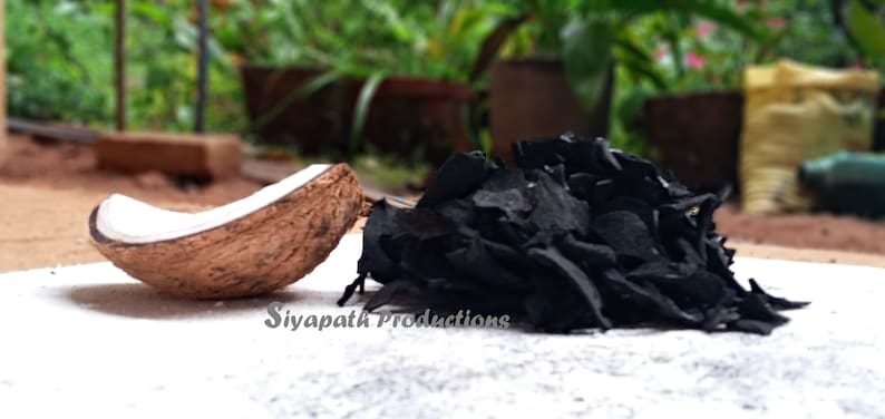 COCONUT Shell CHARCOAL / Organic Coconut Charcoal Pieces / Coconut ...