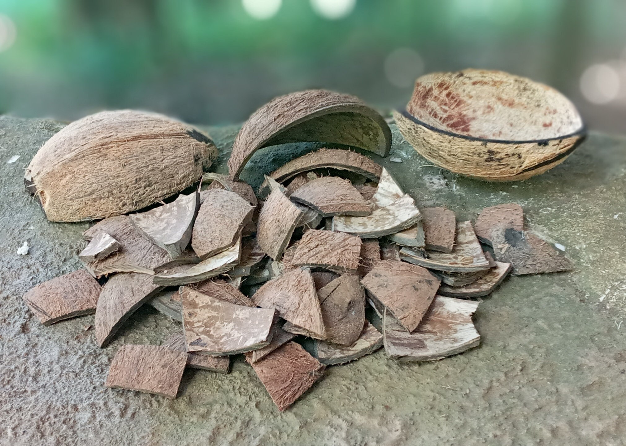 COCONUT Shell CHIPS / Organic Coconut Chips / Natural Coconut Shell ...