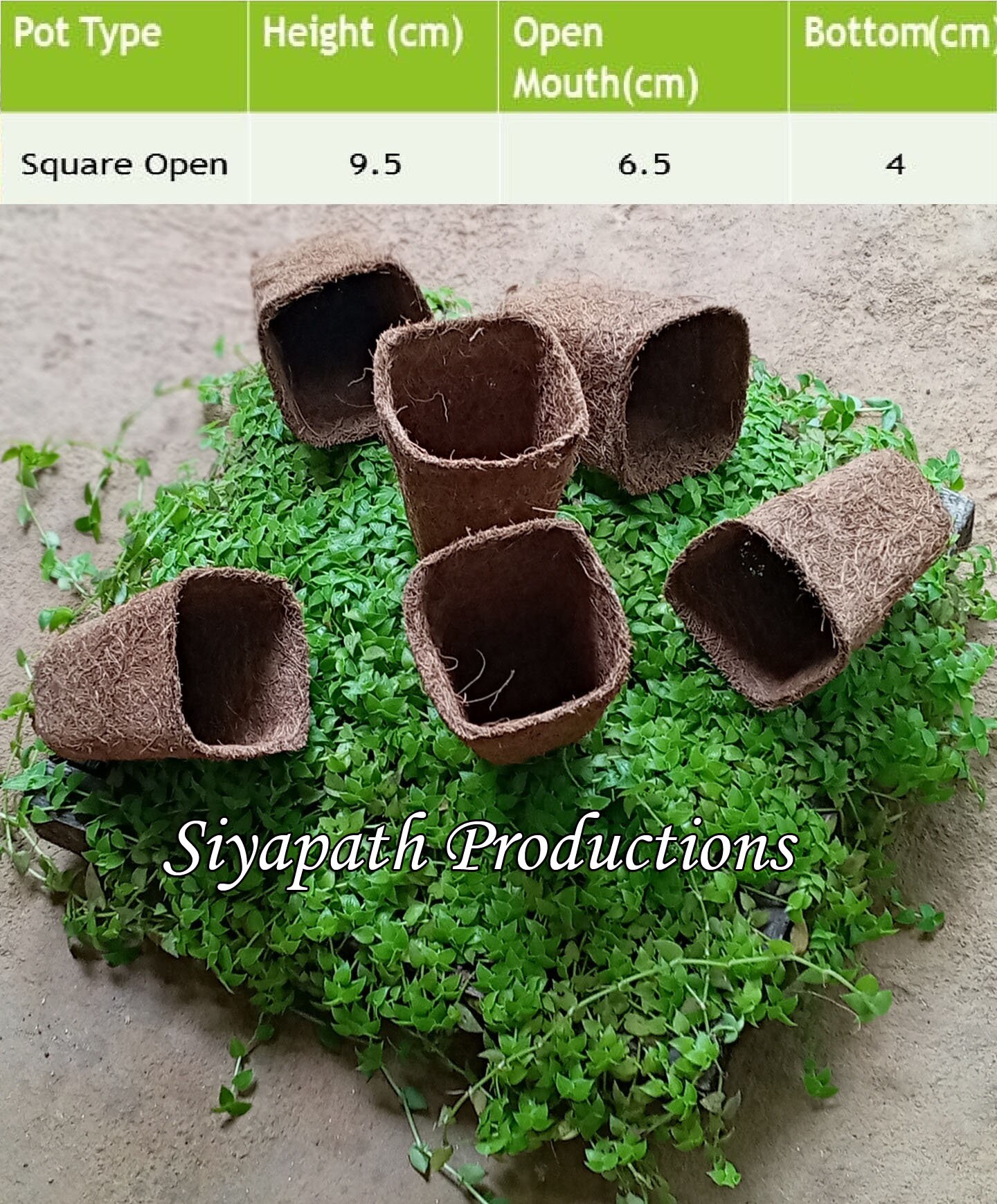 Eco Friendly Coir Pots for Coir Lovers/ Natural Durable Coir Pots ...