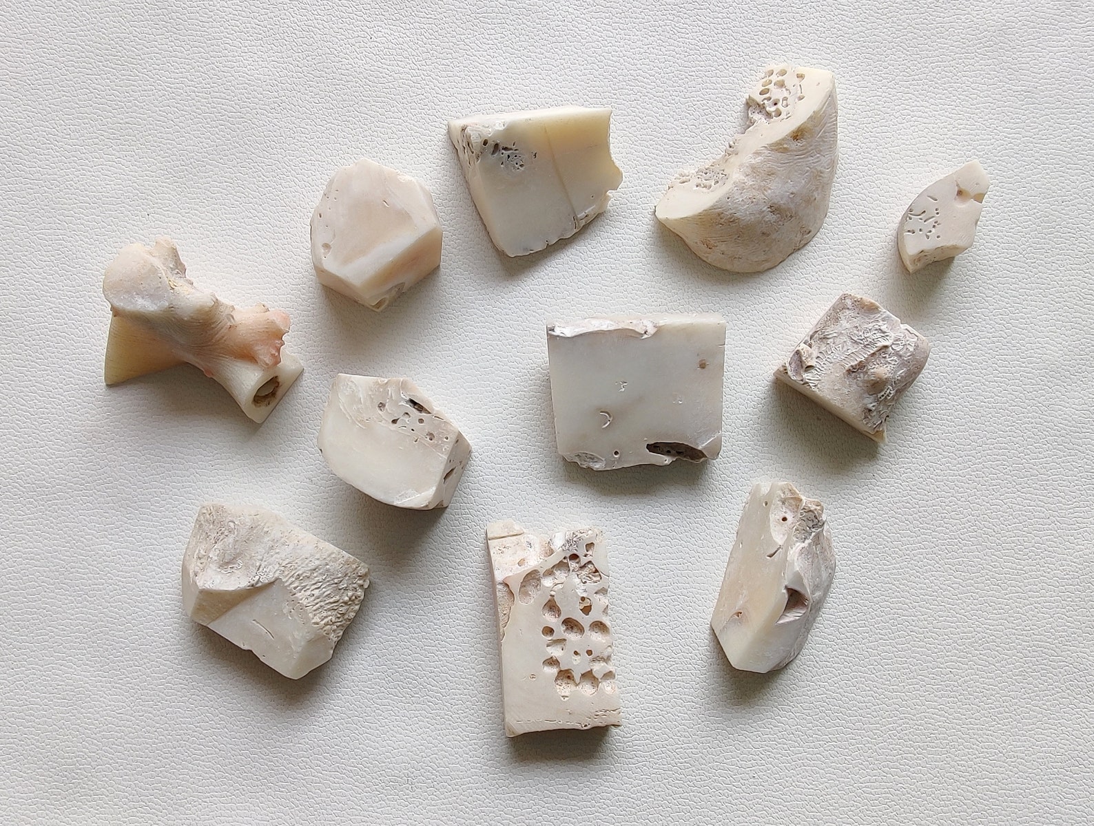 Corail blanc Rugueux Pierre précieuse de corail blanc naturel | Etsy