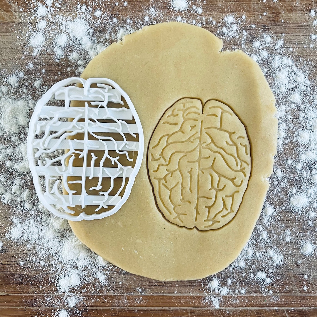 Anatomical Brain Cookie Cutter, Medical Cookie Cutter, Future Doctor ...