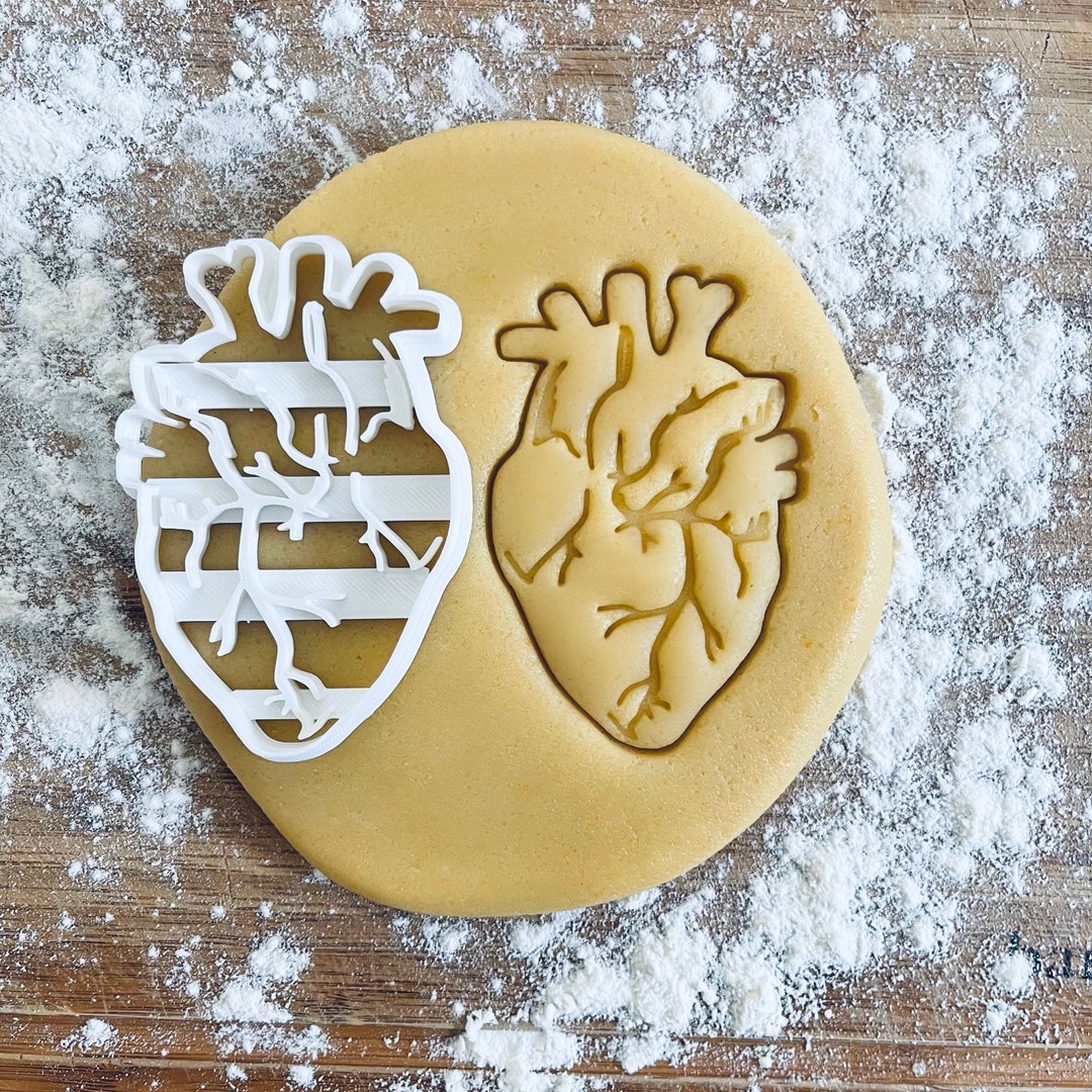 Anatomical Heart Cookie Cutter, Medical Cookie Cutter, Future Doctor ...