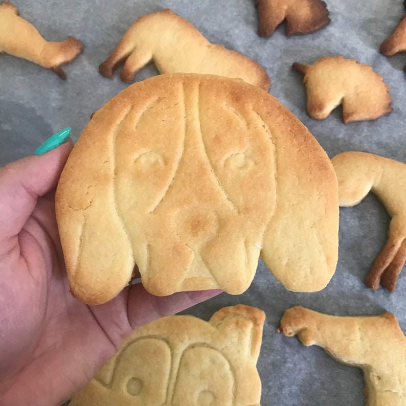 Beagle Face Cookie Cutter Dog Biscuit Fondant Clay Cutter | Etsy