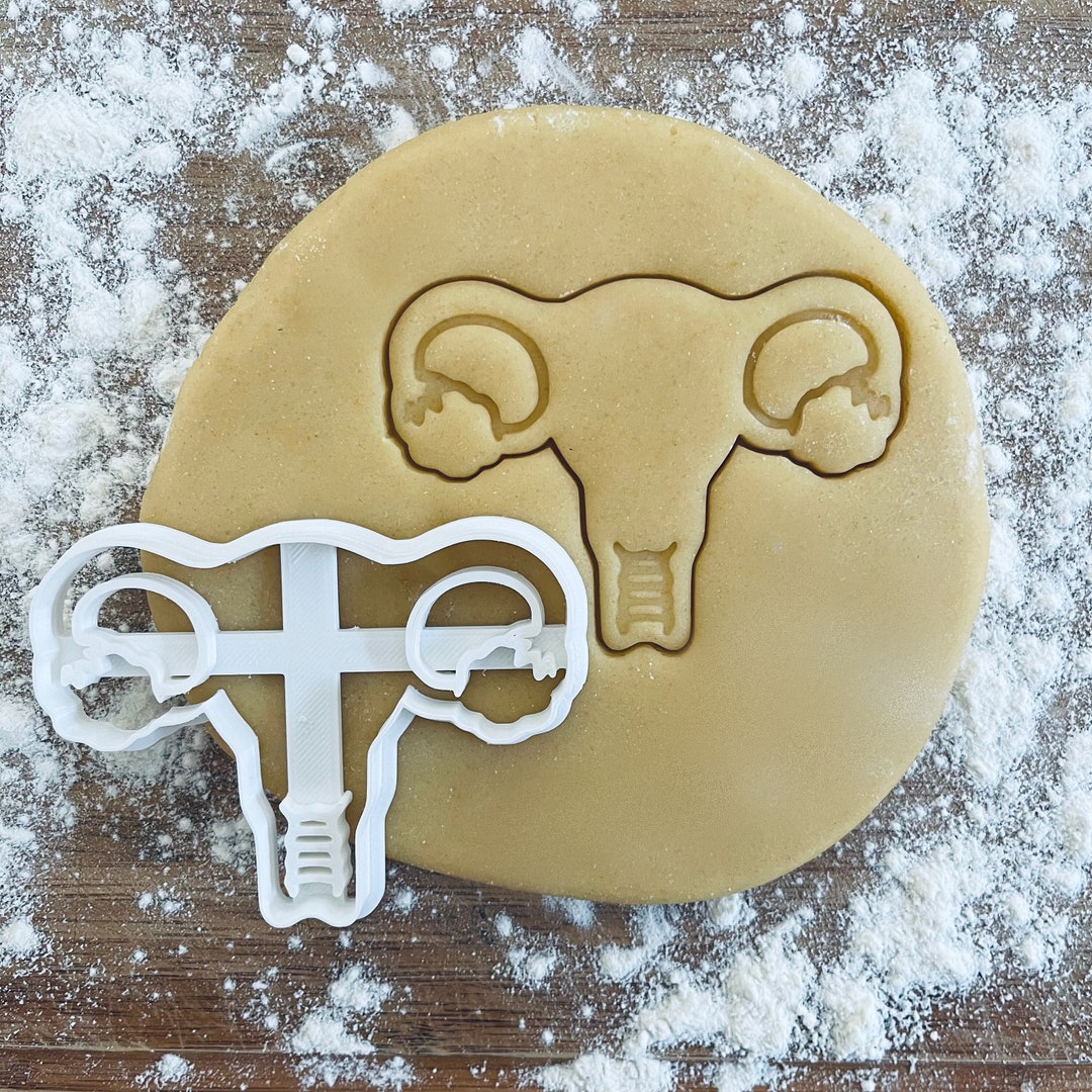 Anatomical Uterus Cookie Cutter, Womb Anatomy, Future Doctor, Gifts for ...