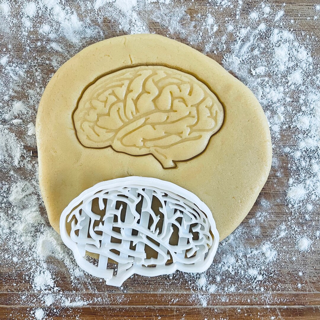 Anatomical Brain Cookie Cutter, Medical Cookie Cutter, Future Doctor ...