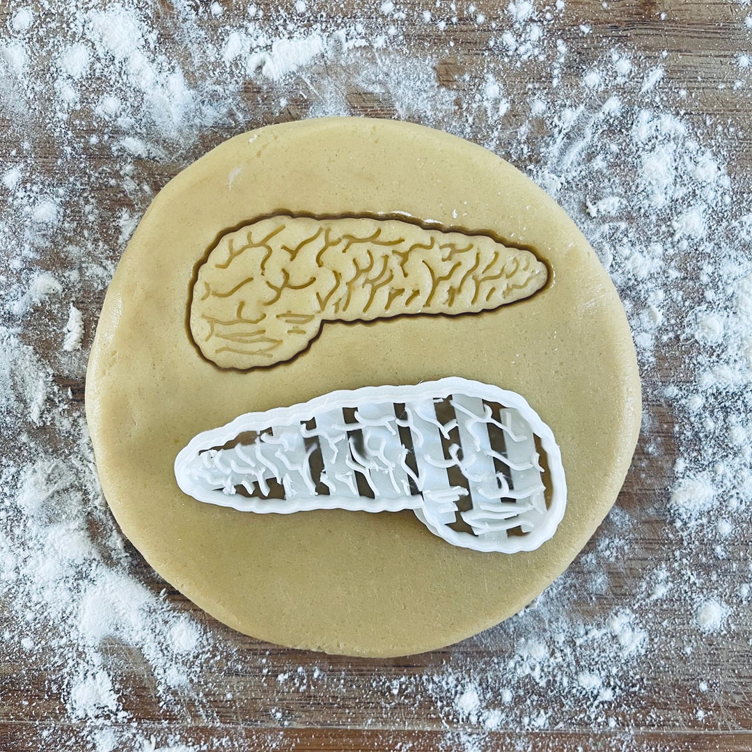 Pancreas Cookie Cutter, Human Body Cookie, Medical Cookie Cutter, Body ...