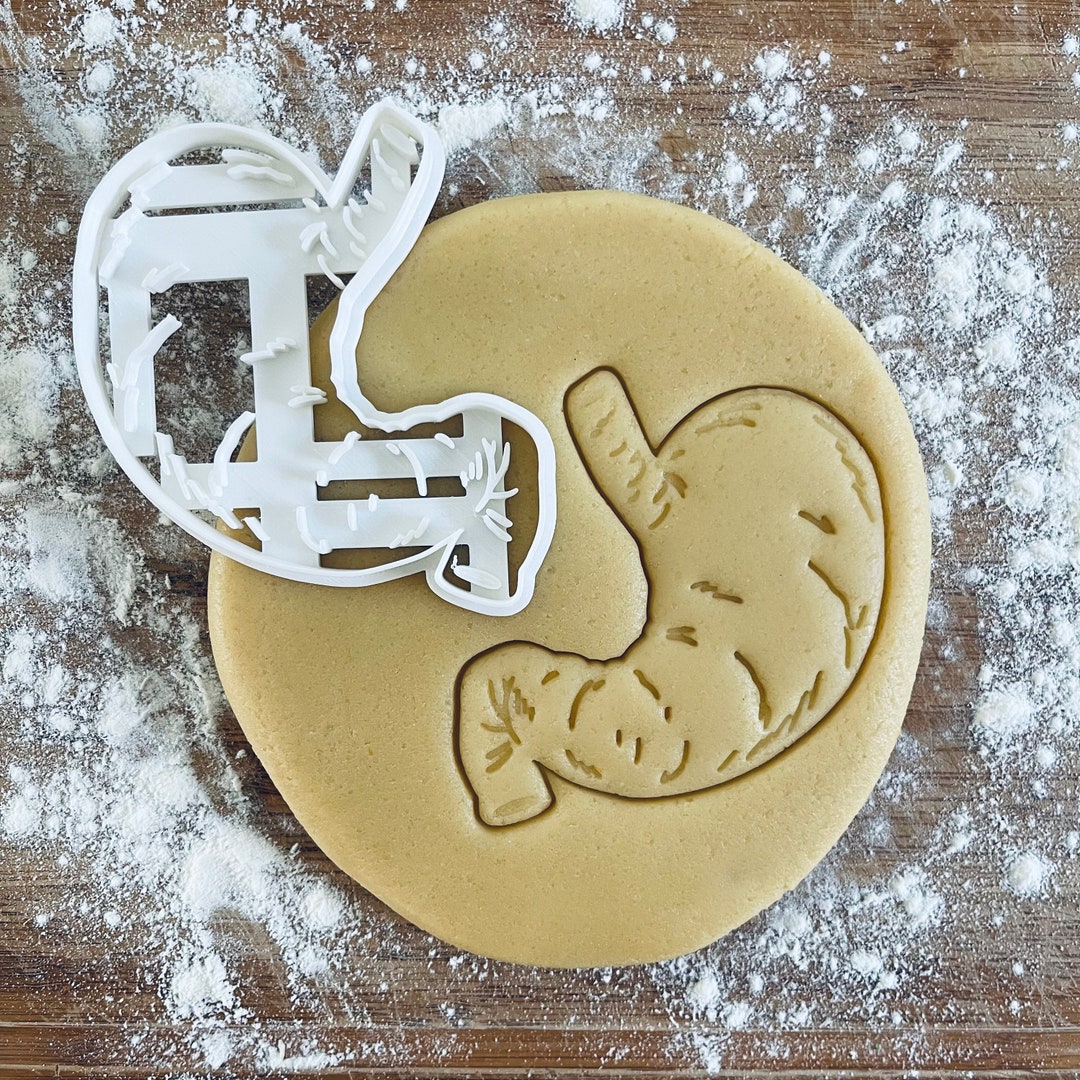 Stomach Cookie Cutter, Human Body Cookies, Medical Cookie Cutter ...