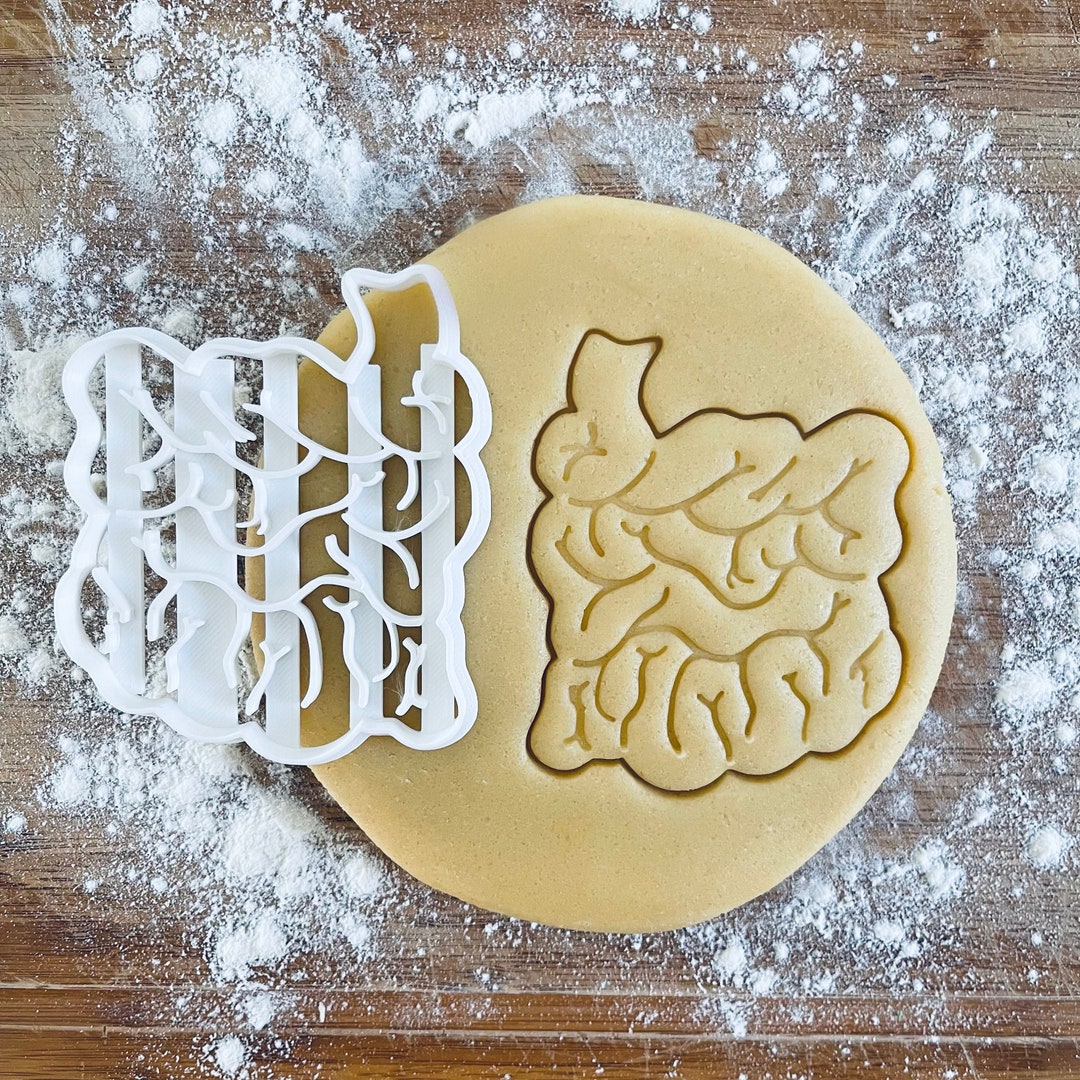 Intestines Cookie Cutter, Human Body Cookies, Medical Cookie Cutter ...