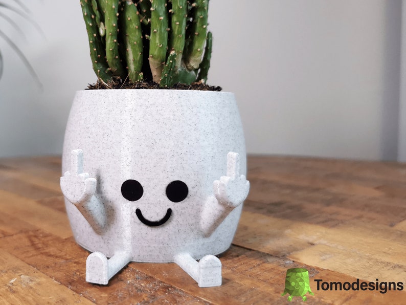 Middle Finger Planter | Cute Gift (3D Printed) - Etsy