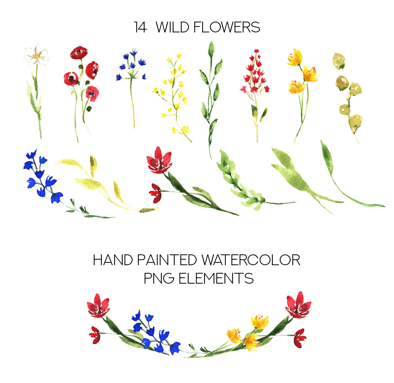 Bee Watercolor Clipart Honey Clipart Png Digital Clip Art - Etsy