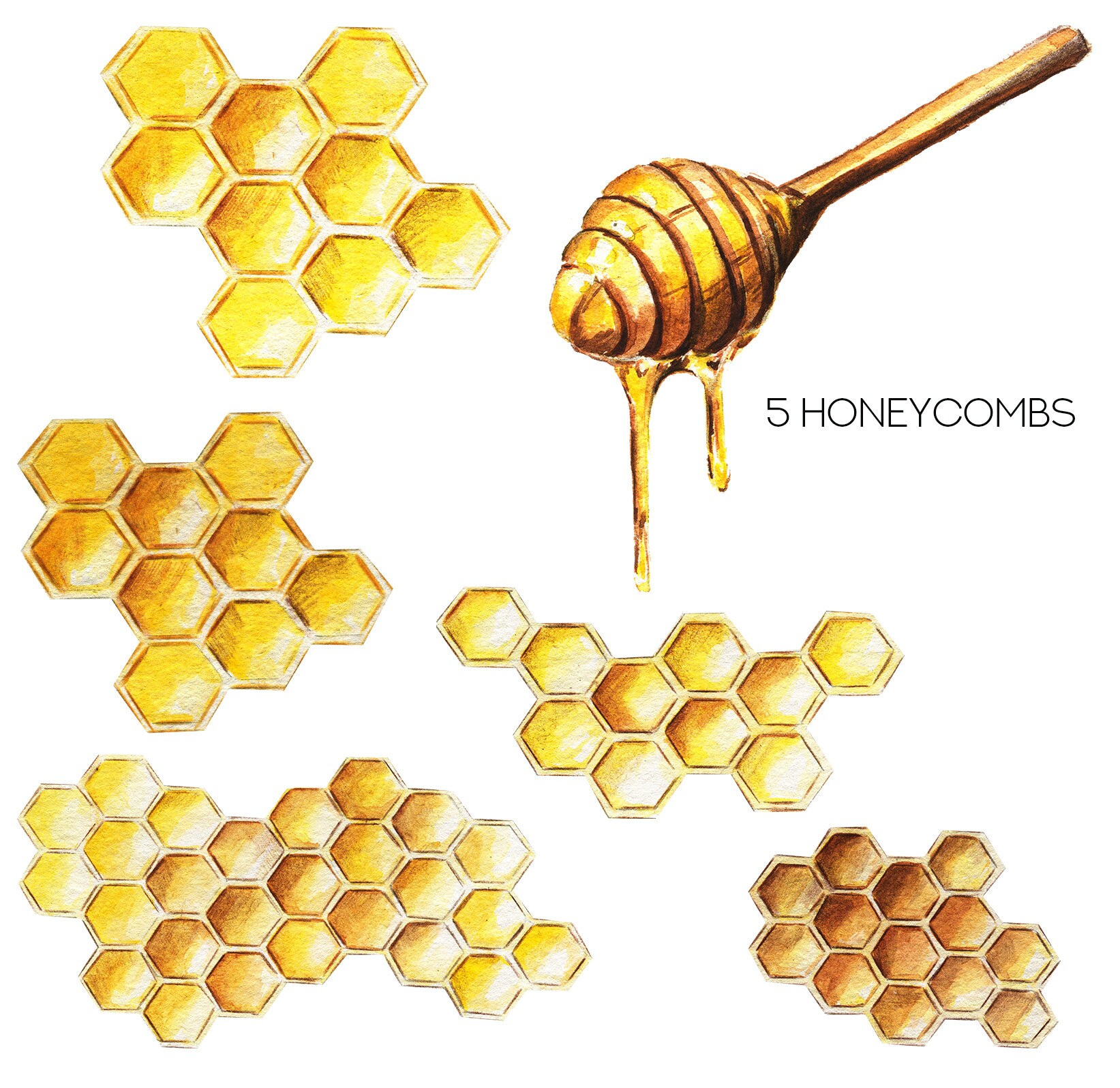 Bee Watercolor Clipart Honey Clipart Png Digital Clip Art - Etsy