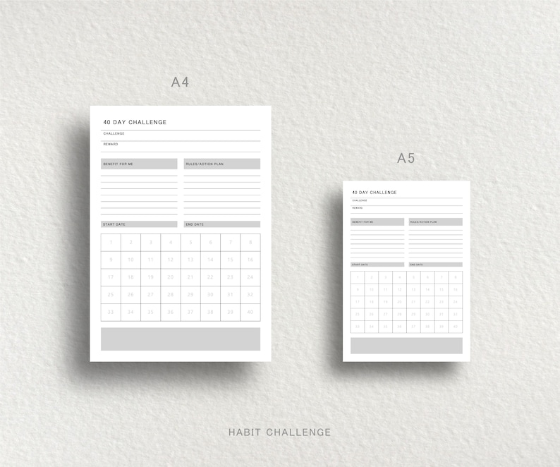 40 Day Challenge, Goal Setting, Progress Tracker, Habit Forming ...