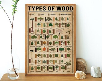Types of Wood Poster - Etsy