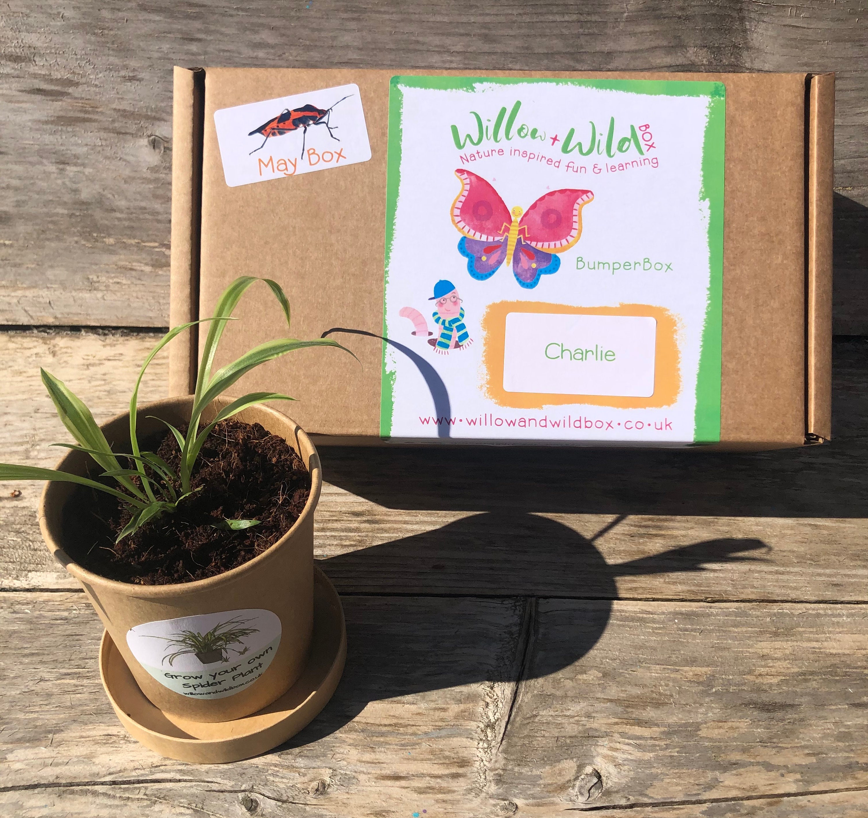 Nature Craft & Gardening Box - Etsy UK