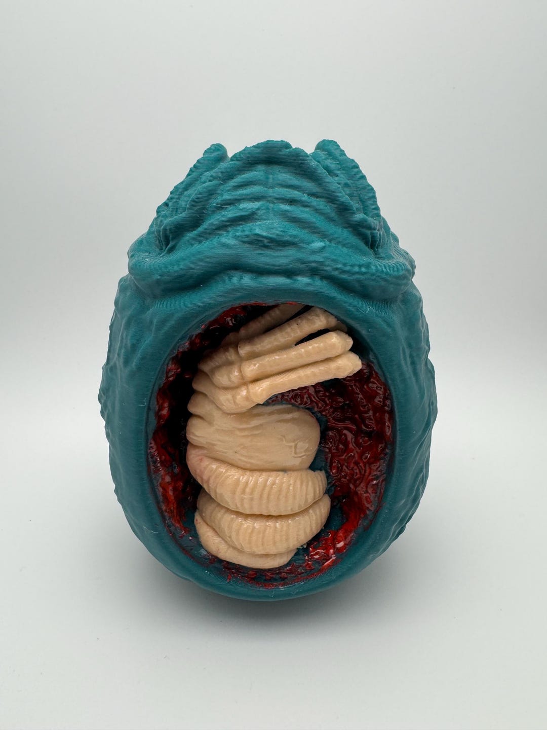 Ovomorph Alien Egg Cutaway Display - Etsy