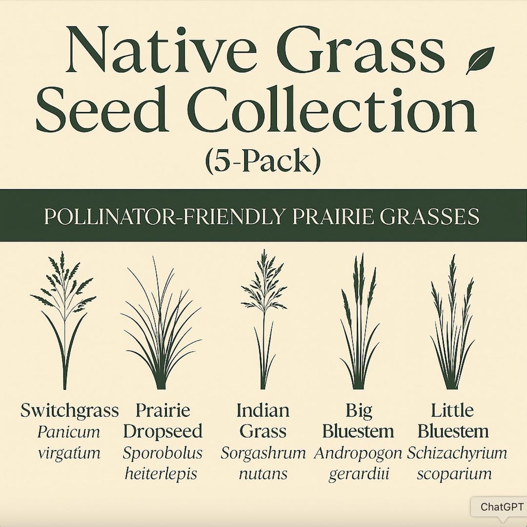 Native Grass Seed Collection (5-pack) — Switchgrass, Prairie Dropseed ...