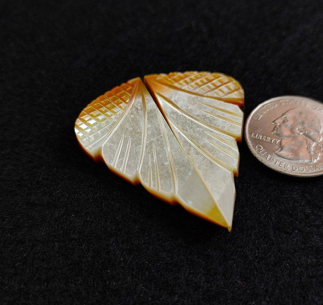 Beautiful Angel Wings Shape Natural Rainbow Shade Nacre Mother of Pearl ...