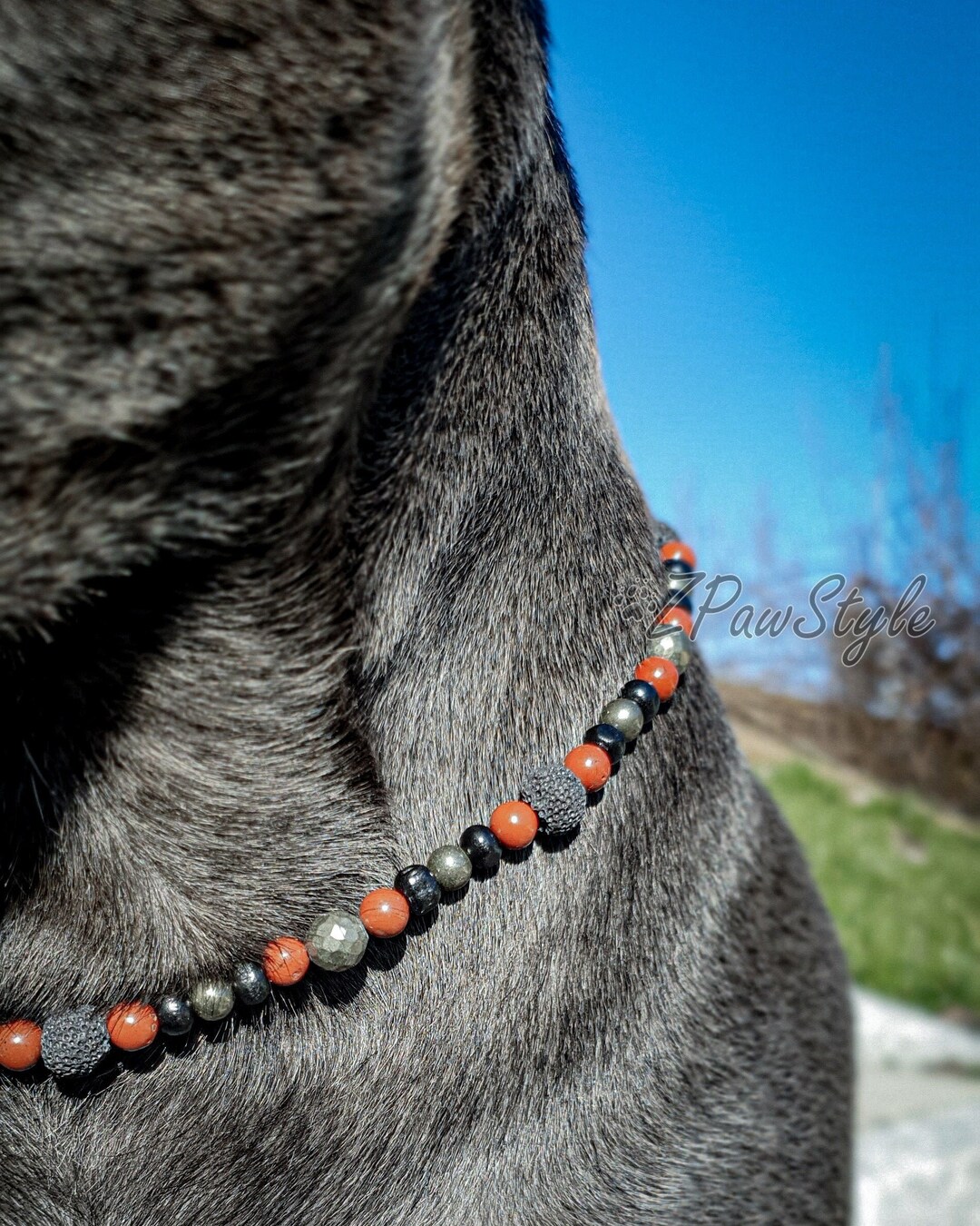 Beaded Necklace Collar Jewellery for Dogs Staffy Pitbull Amstaff Bully ...