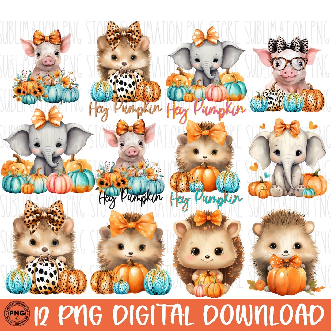 Autumn Fall Animal Clipart Hedgehog Elephant Pig Hey Pumpkin Png ...